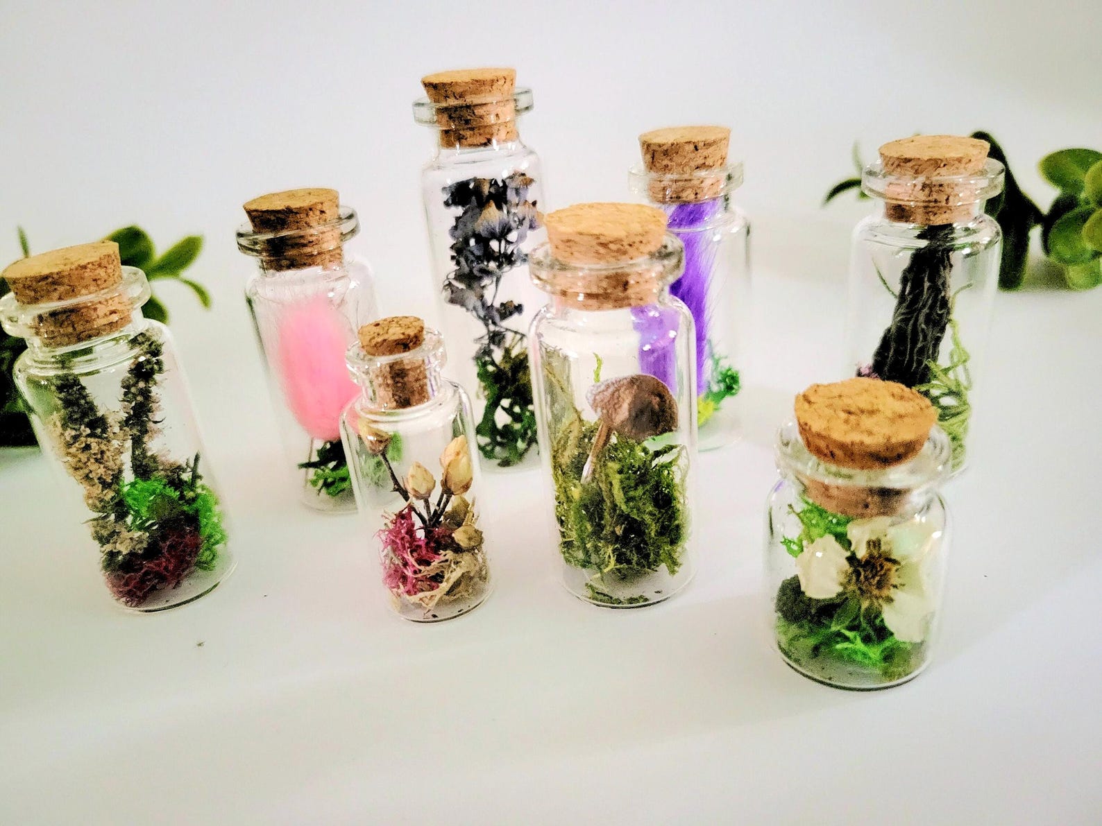 3pc Botanical Jars Set, Mini Dried Plant Jars, Cottage Decor, Floral ...