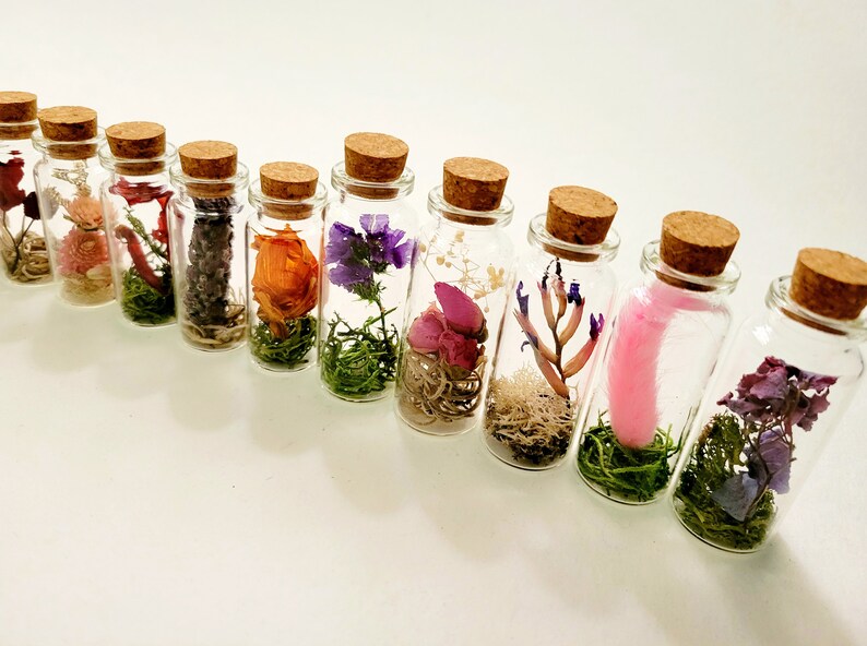 3pc Botanical Jars Set, Mini Dried Plant Jars, Cottage Decor, Floral ...