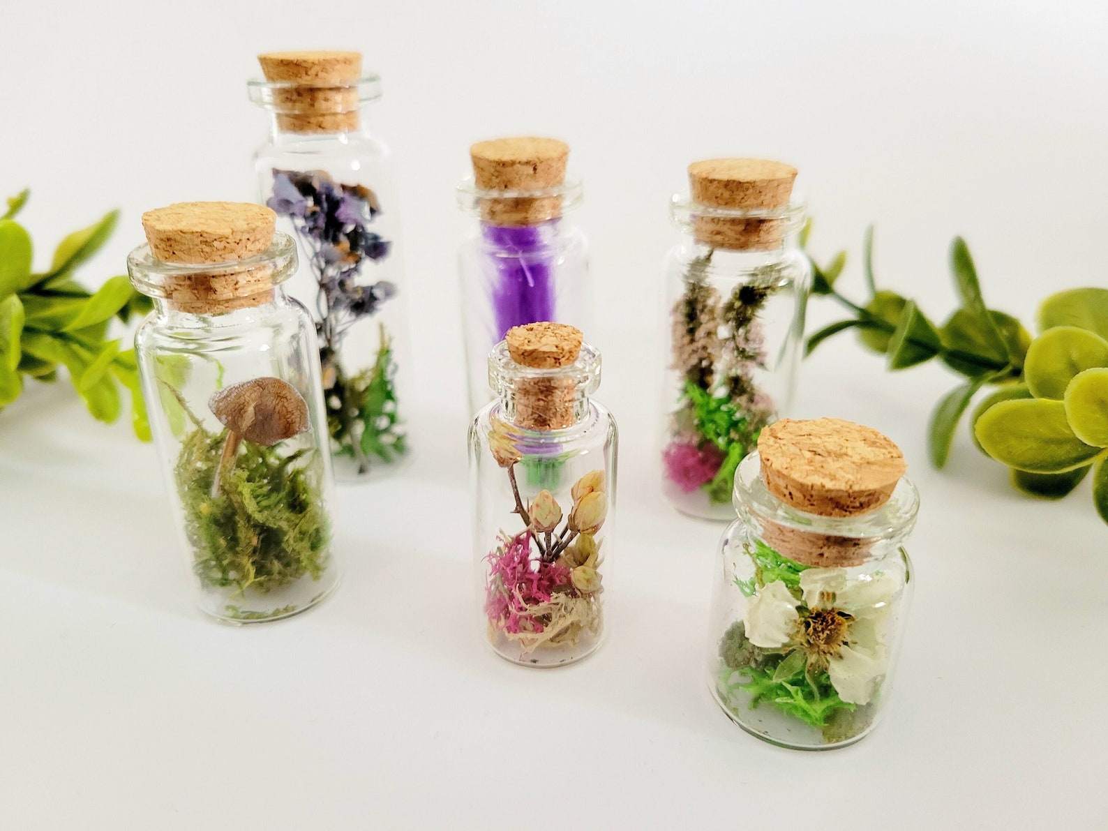 3pc Botanical Jars Set, Mini Dried Plant Jars, Cottage Decor, Floral ...