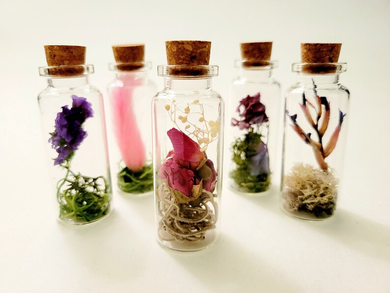 3pc Dried Flower Jars Set, Botanical Floral Terrarium Decor, Mini ...