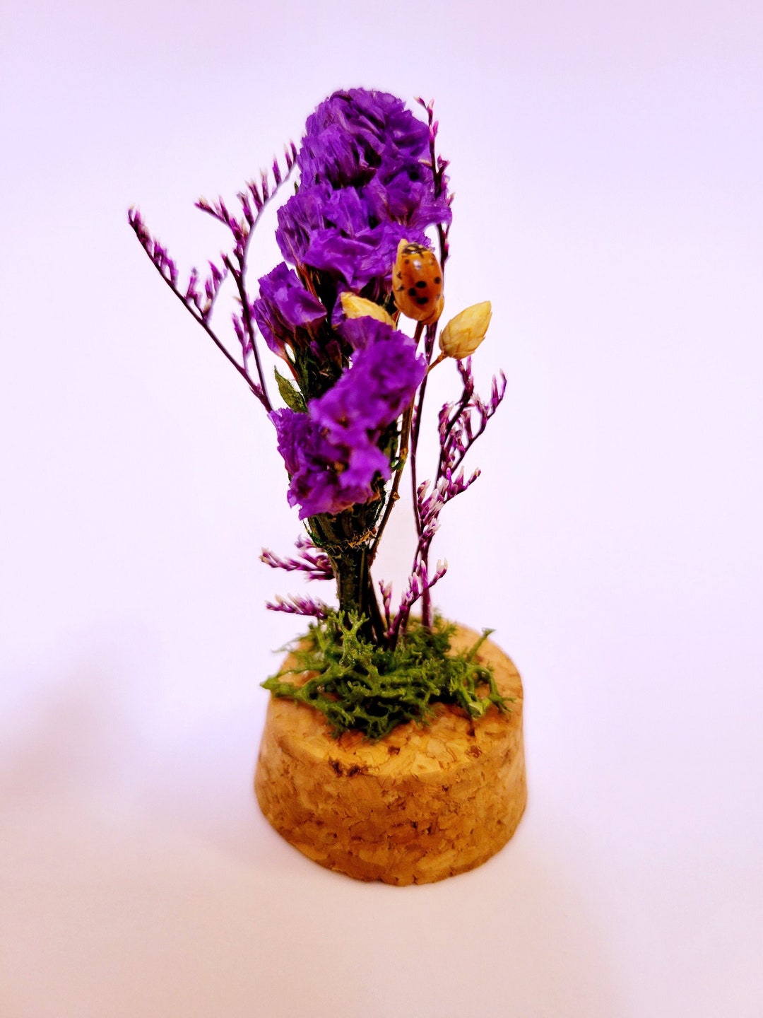 Real Ladybug Terrarium Decor Purple Sea Lavender Floral - Etsy