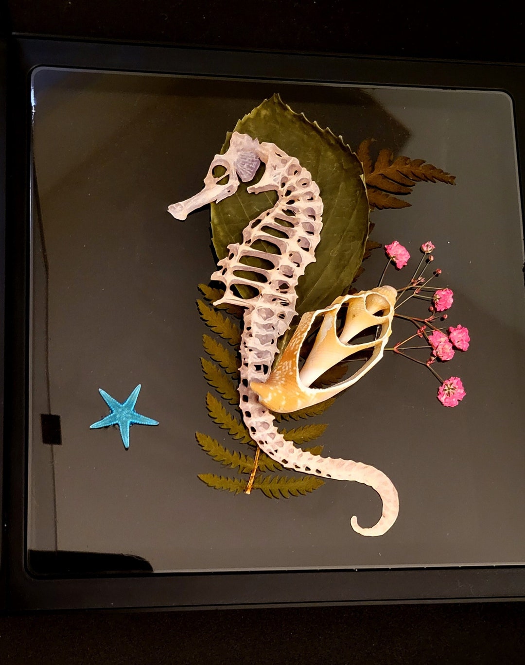 Goth Skeleton Seahorse Decor, Underwater Marine Animal, Cut Seashell ...