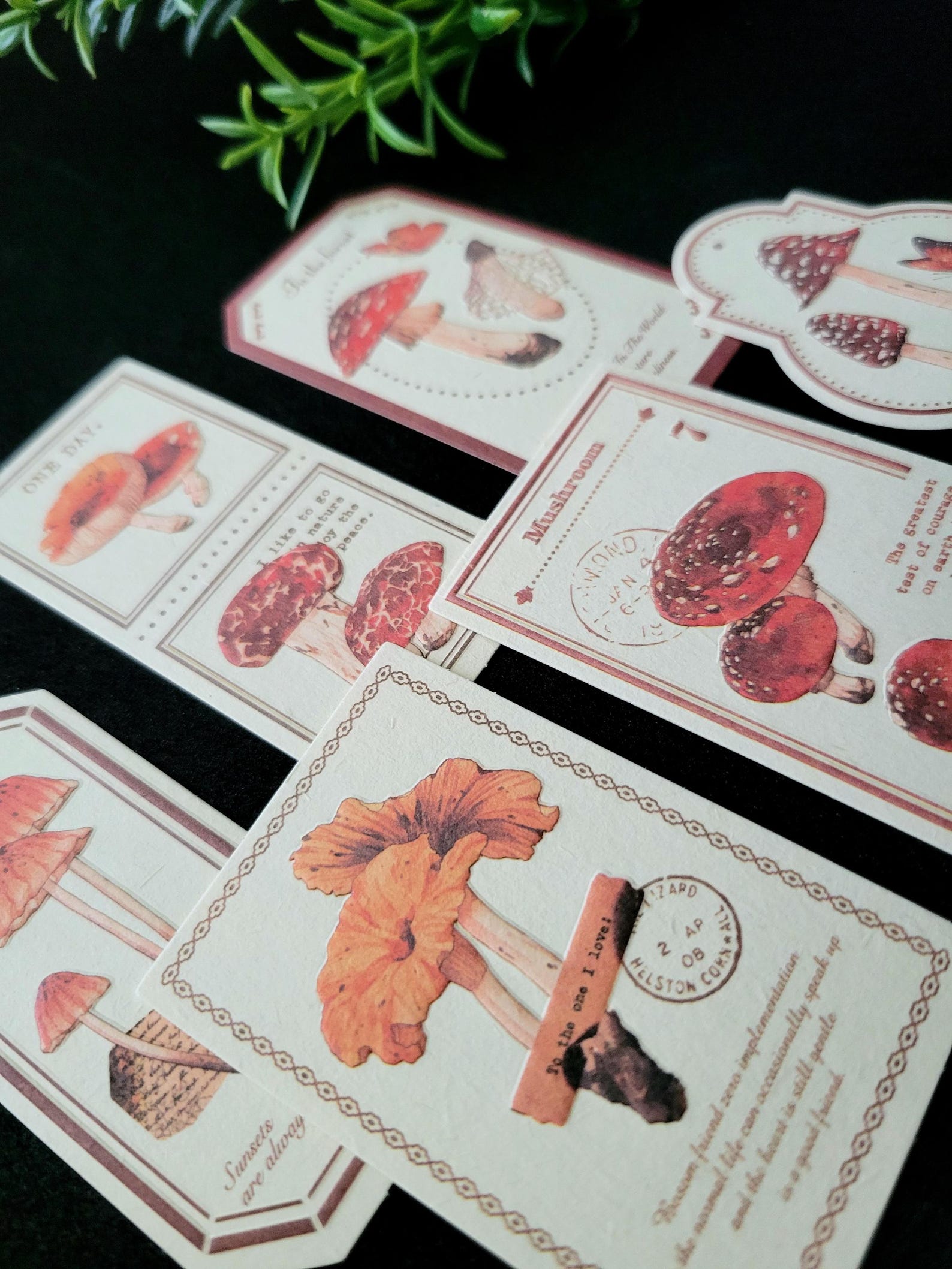 30pcs Mushroom Labels, Fairycore Embossed Card Stock Mini Nature ...