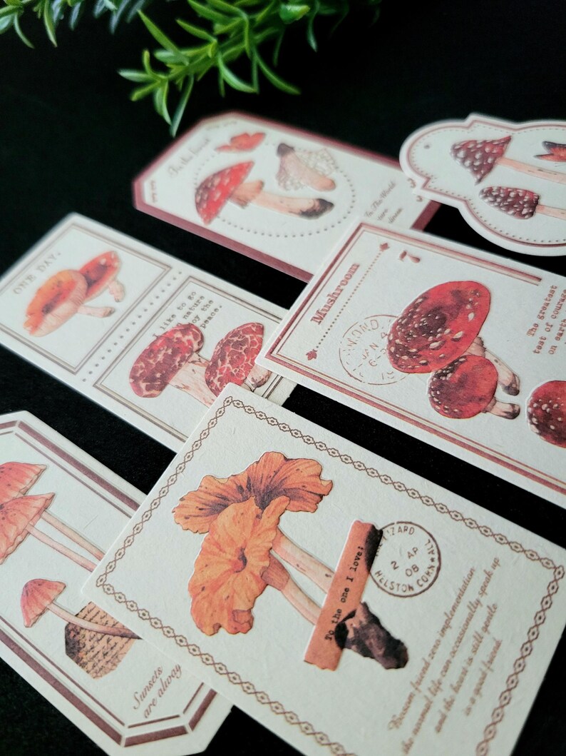 30pcs Mushroom Labels, Fairycore Embossed Card Stock Mini Nature ...