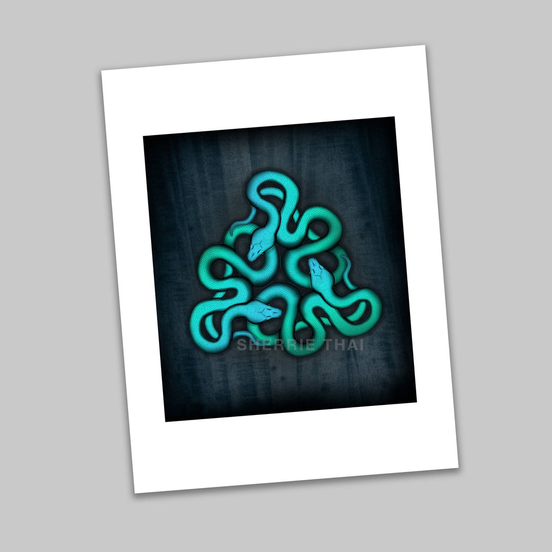 Gothic Snakes Wall Art Print, Macabre Home Decor Wall Hanging, Witch ...