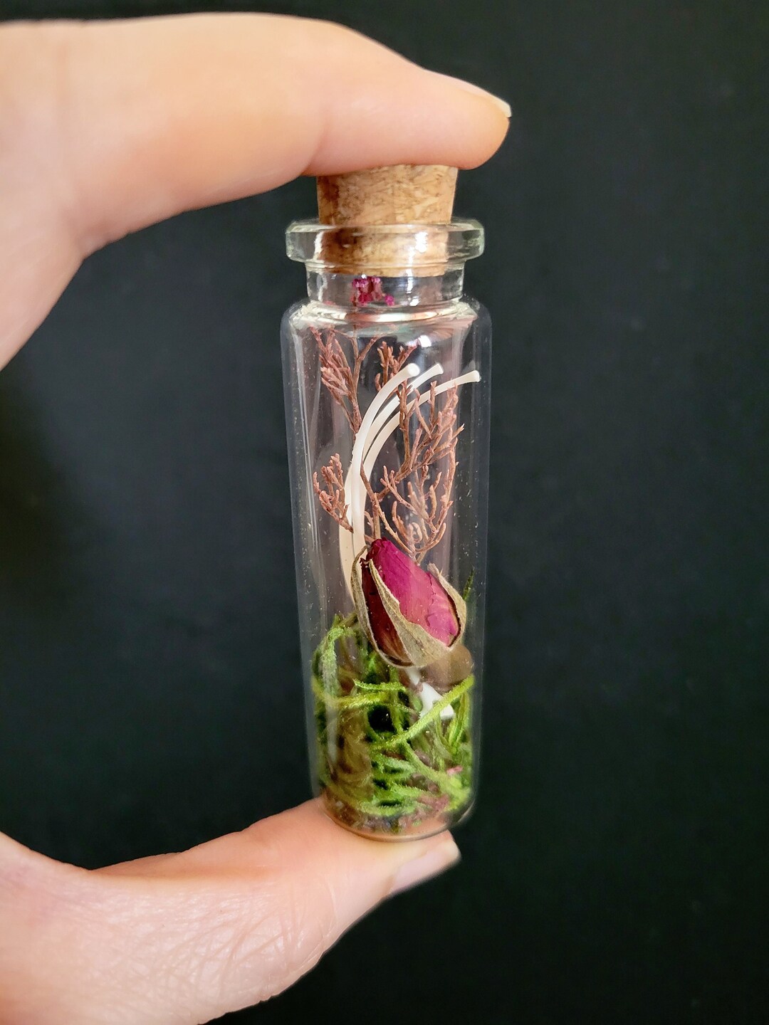 Tall Snake Bone Jar, Bone Oddity Jars, Witch Spell Jar, Vulture Culture ...