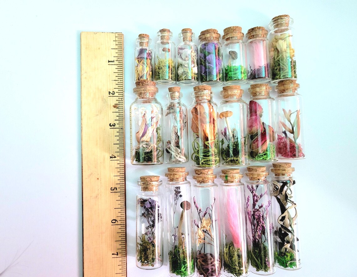 3pc Botanical Jars Set, Mini Dried Plant Jars, Cottage Decor, Floral ...