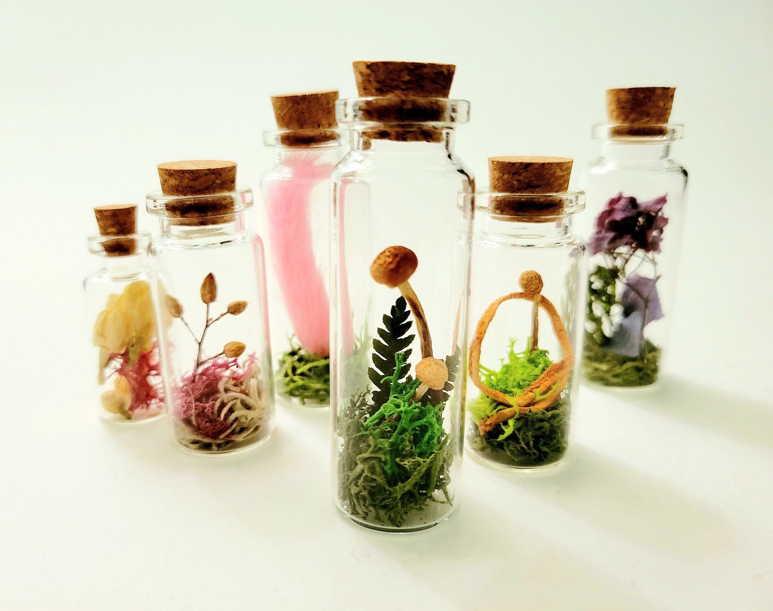 3pc Botanical Jars Set, Mini Dried Plant Jars, Cottage Decor, Floral ...