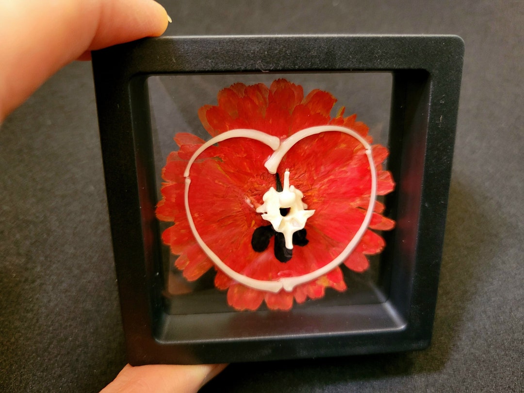 Framed Bone Heart Decor, Goth Bone Oddity Decor, Gothic Floral ...