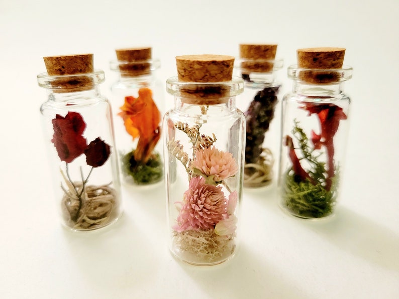 3pc Dried Flower Jars Set, Botanical Floral Terrarium Decor, Mini ...