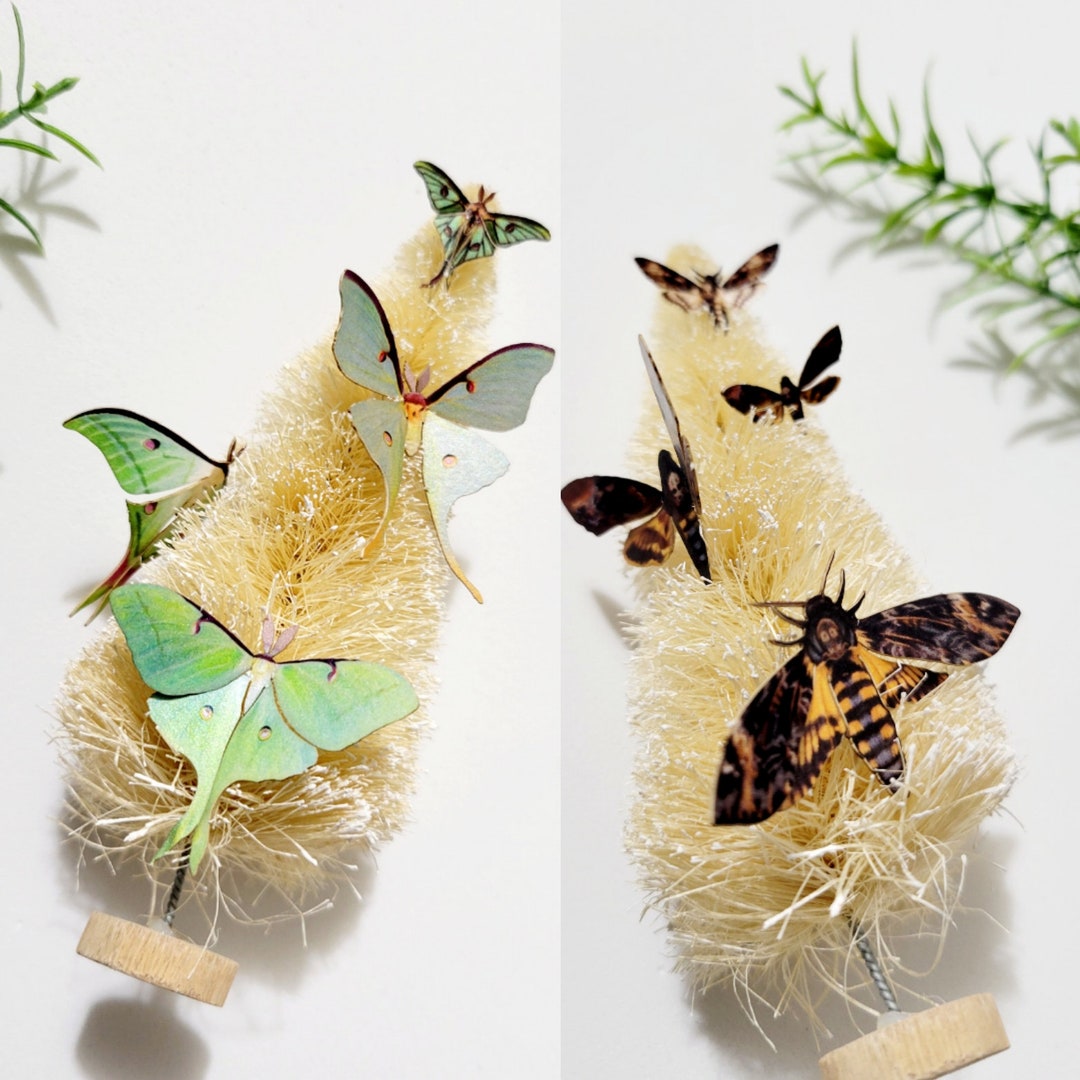 Butterfly Bat Christmas Tree Decor Nature Specimen Mini - Etsy