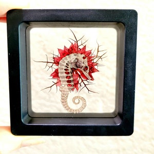 Goth Skeleton Seahorse Decor, Underwater Animal Decor, Dark Mermaid ...