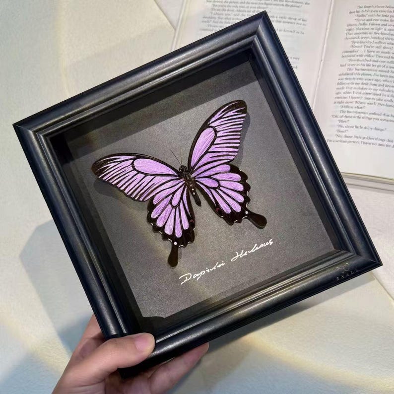 Real Purple Wave Morpho Butterfly Frame | Large Specimen Art | Unique ...