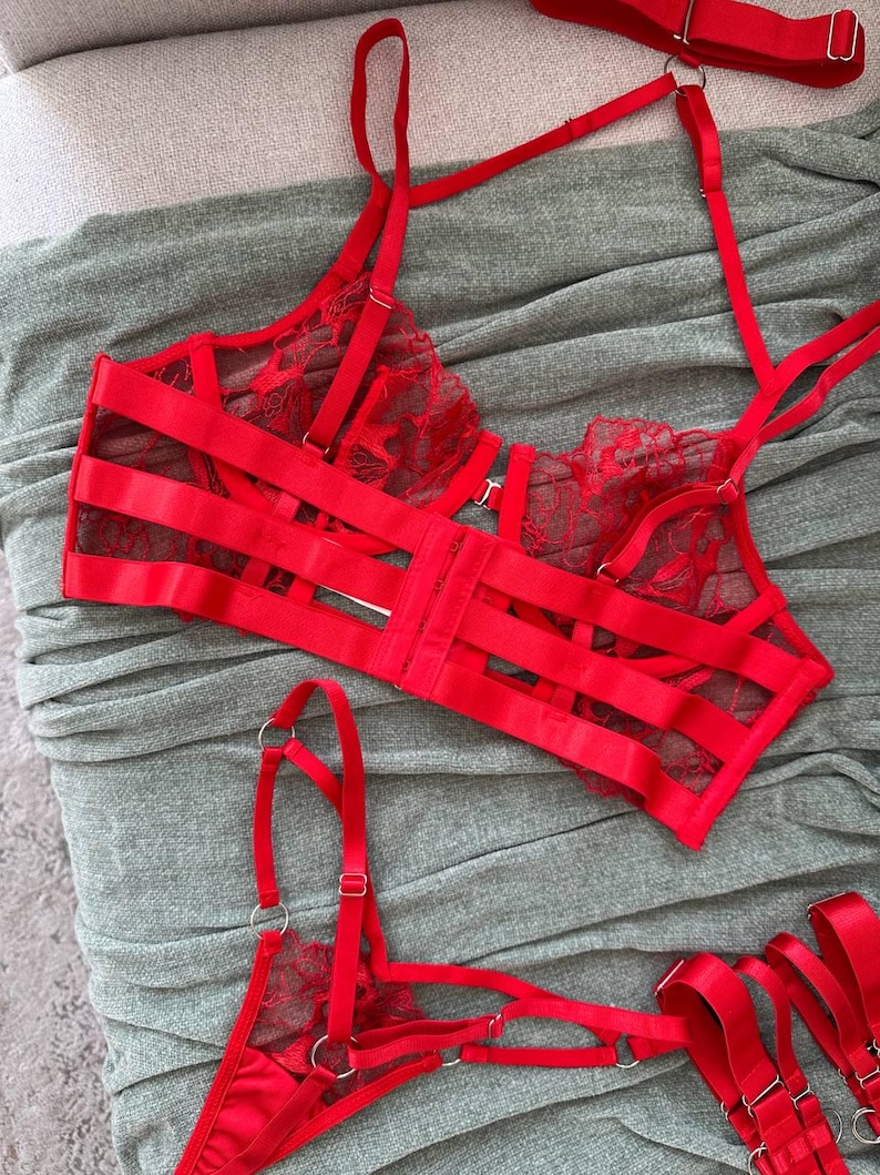 Red Strappy Lace Lingerie Set, Embroidered Bra, Garter Belt & Choker ...