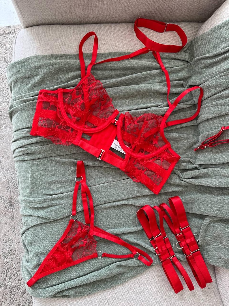 Red Strappy Lace Lingerie Set, Embroidered Bra, Garter Belt & Choker ...