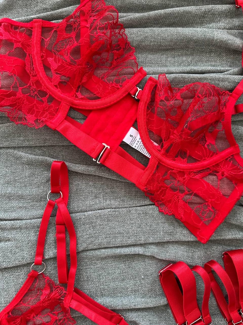 Red Strappy Lace Lingerie Set, Embroidered Bra, Garter Belt & Choker ...
