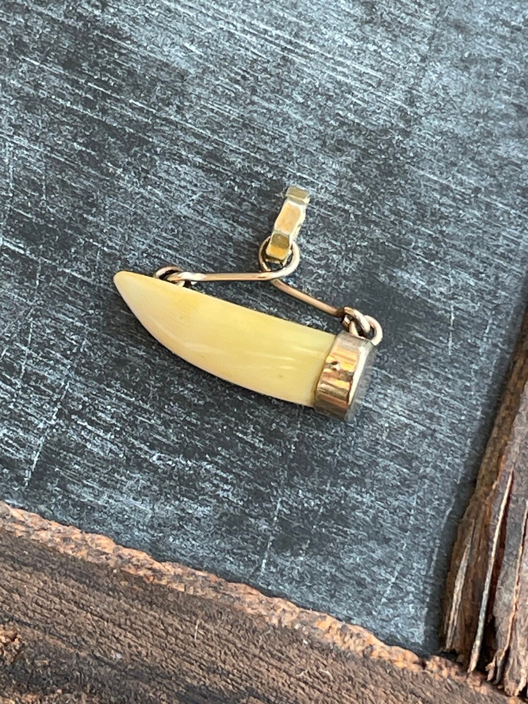 Victorian 10k “lucky Tooth” Hunters Trophy Charm- - Etsy
