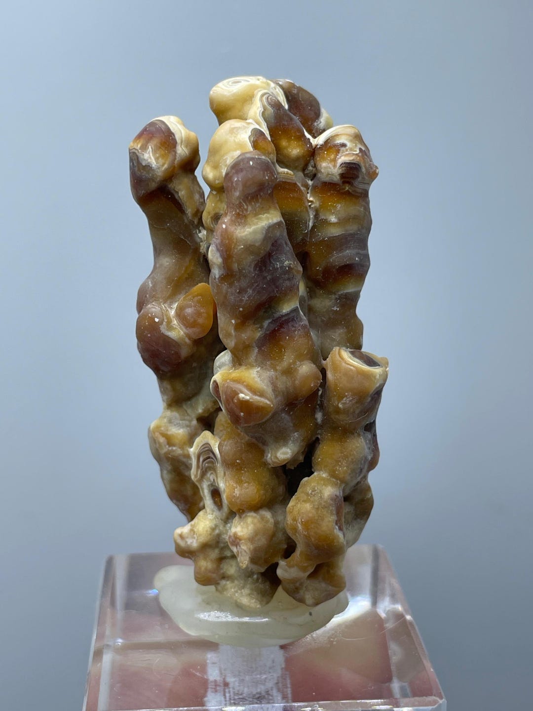 Rare Moroccan Calcite Stalagmite,natural Cave Formation for Collectors ...
