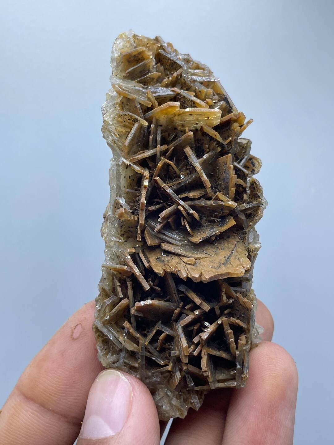 Rare Golden Barite Crystal From Nador,morocco - Natural Mineral ...