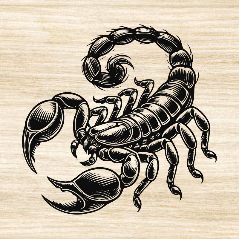 Scorpio Scorpion Design | Svg Png Dxf Pdf Eps | Vector Graphic Design ...