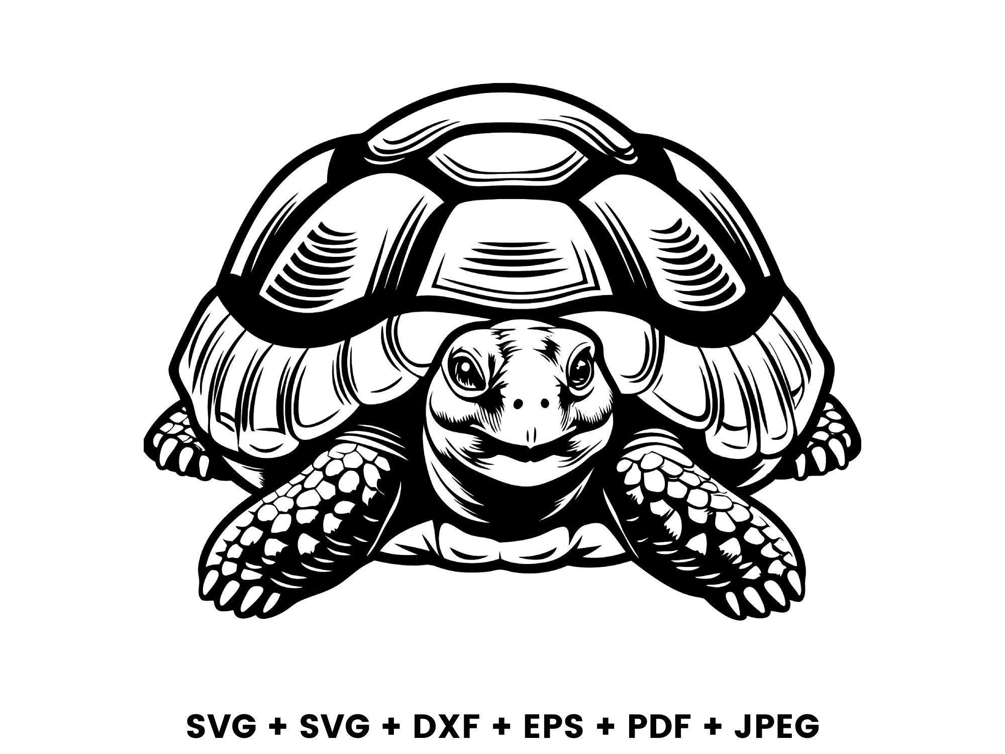 Cute Turtle Svg Png Dxf Eps Vector Graphic Cut File, Animal Silhouette ...
