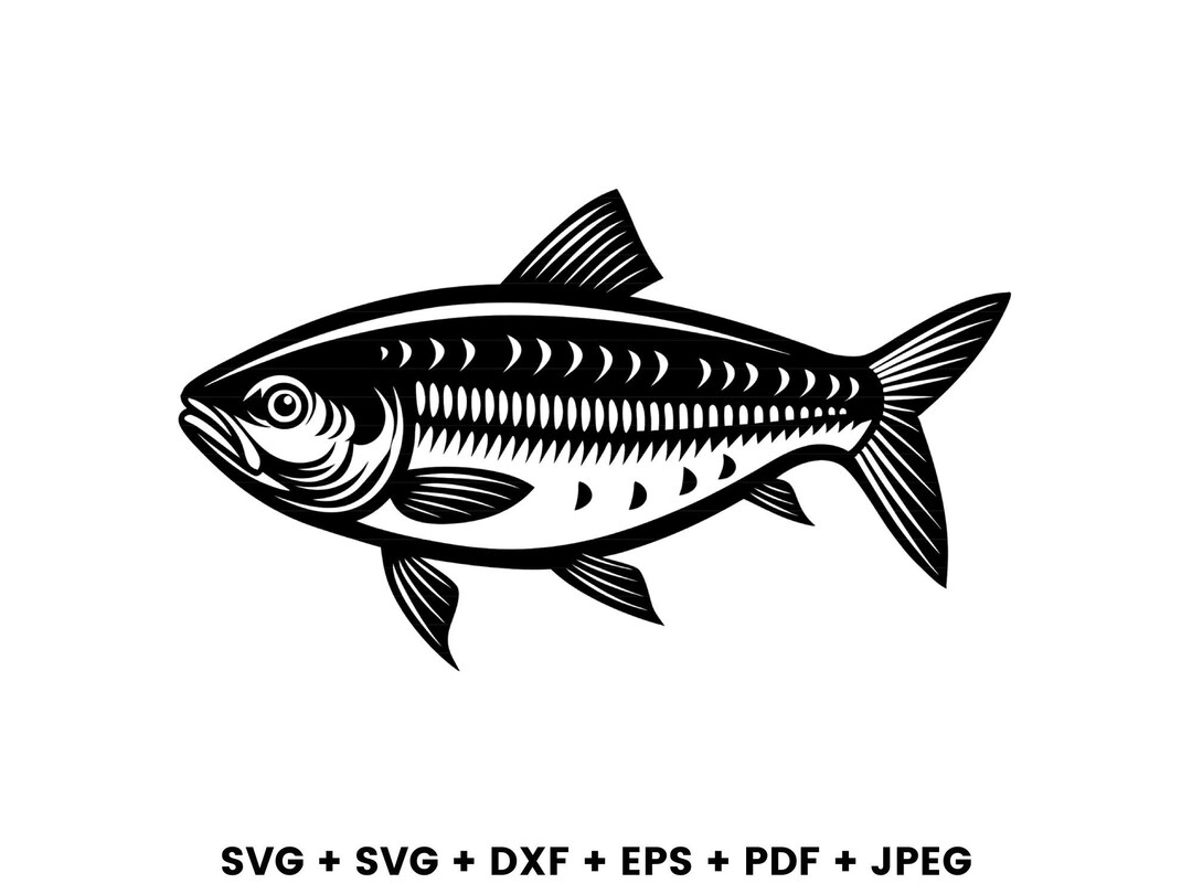 Sardine Svg Png Dxf Eps Vector Graphic Cut File, Silhouette Laser Clip ...