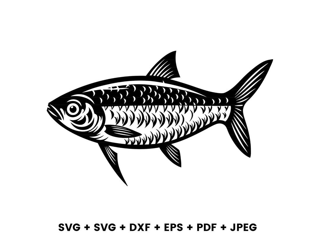 Sardine Svg Png Dxf Eps Vector Graphic Cut File, Silhouette Laser Clip ...