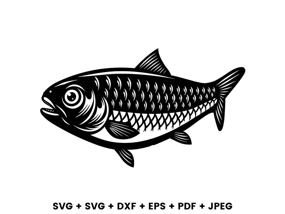 Sardine Svg Png Dxf Eps Vector Graphic Cut File, Silhouette Laser Clip ...