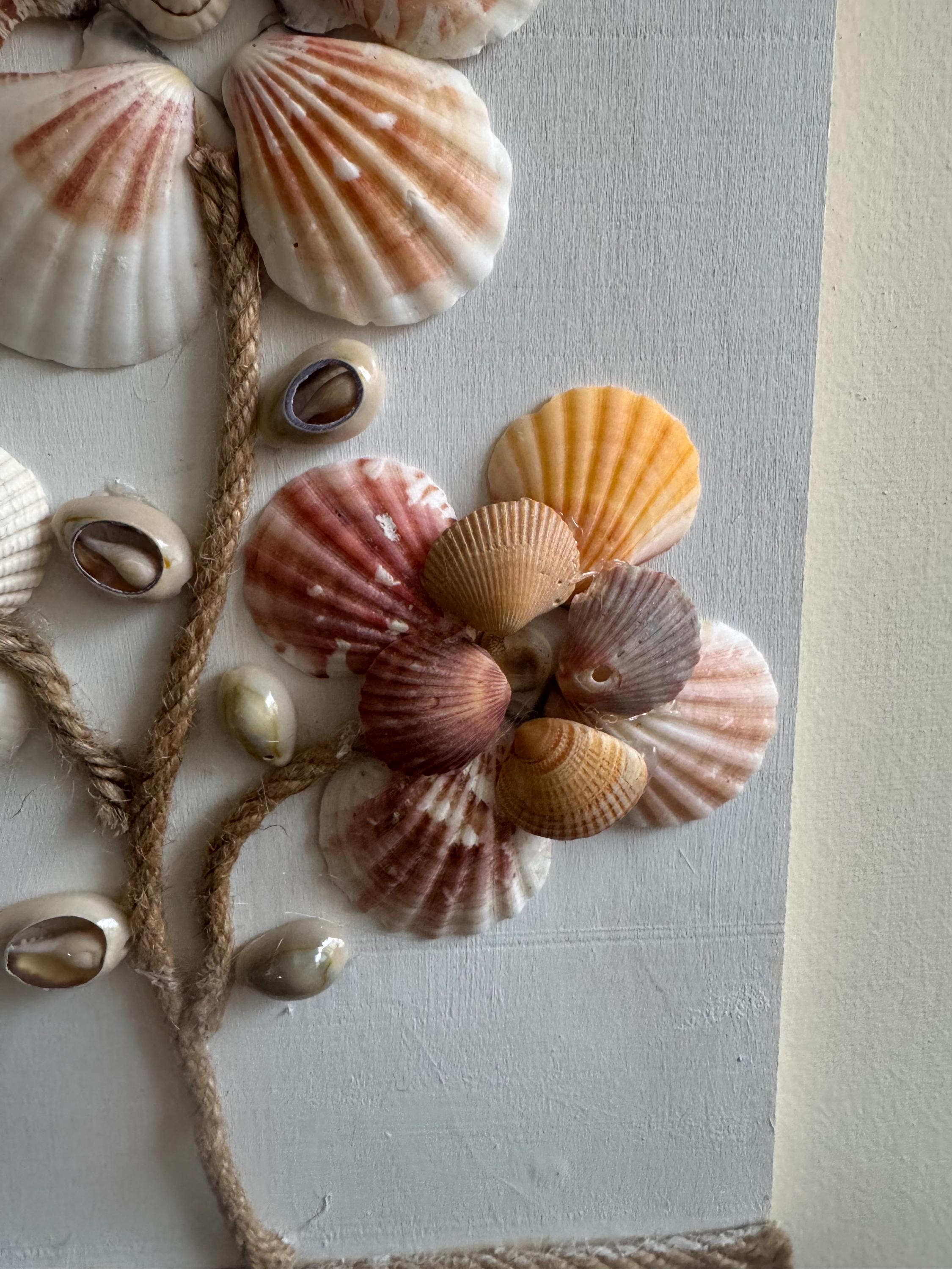 Seashell Wall Art - Etsy