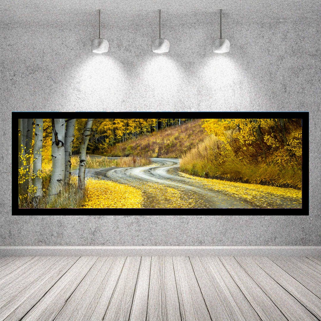 Panorama: Autumn Curved Road With Aspen Photography - Colorado Mountain ...