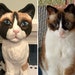 Custom Cat Sculpture 7-12 Inches Tall - Etsy