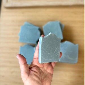 Silly Goose Baby Shower Soap Favors Boy, Eco-friendly Gifts for Guests ...