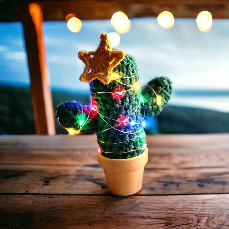 Christmas Tree Cactus - Etsy