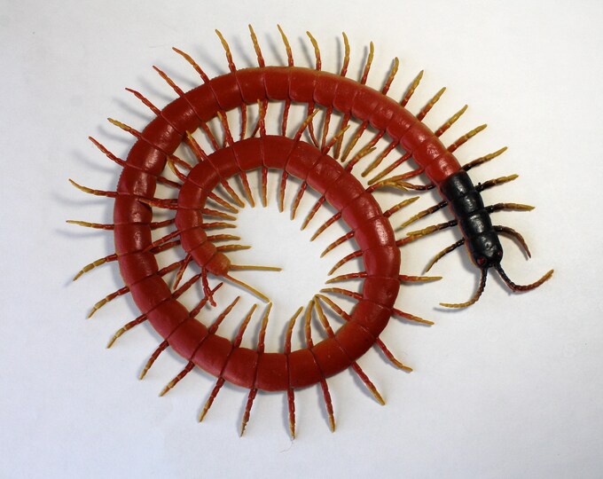 Vintage Centipede Millipede Bug Insect, Vinyl Rubber Millipede ...