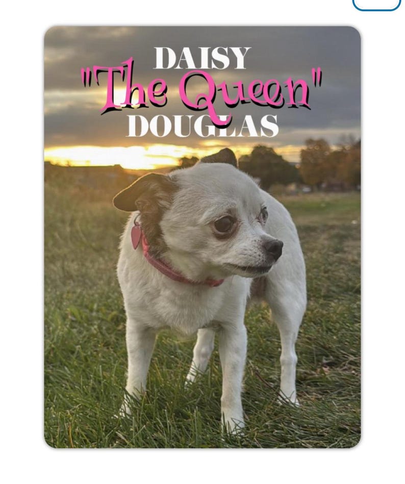 Daisy "the Queen" Douglas Sticker - Etsy