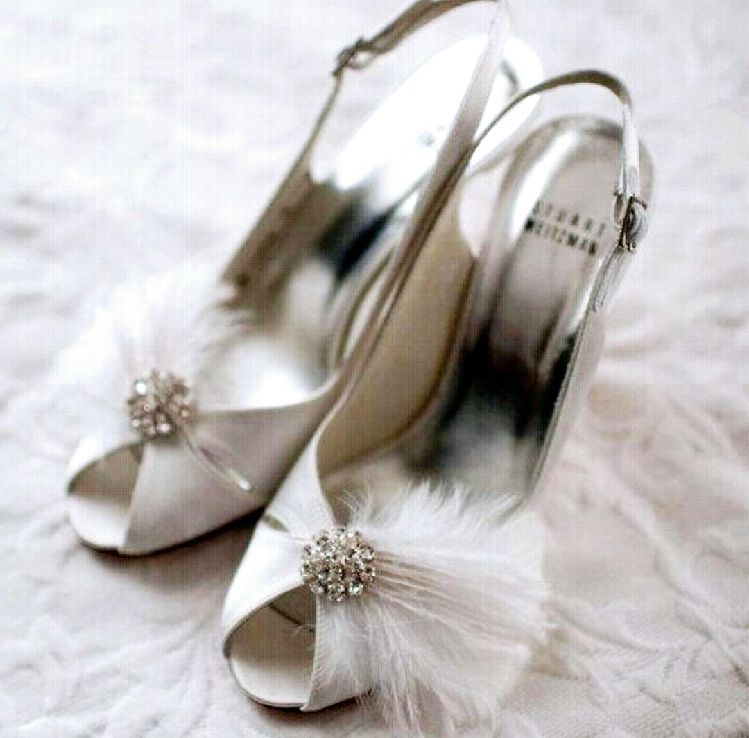 Feather Shoe Clips, Wedding Shoe Clips, Rhinestones, Shoe Clips, Clip ...