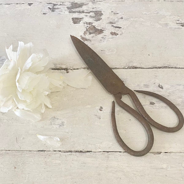 Giant Scissors - Etsy
