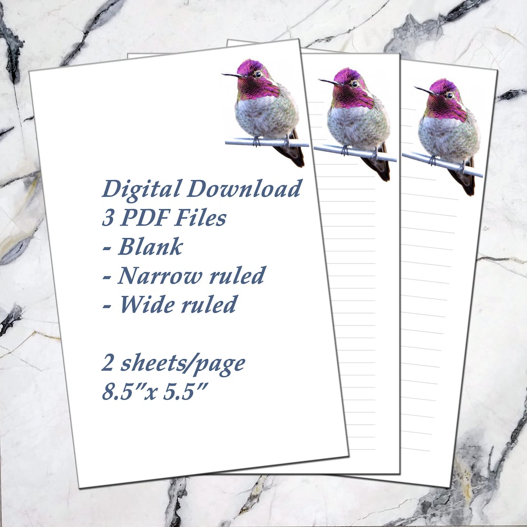 Printable Anna's Hummingbird Photo Stationery Download and Print Letter ...