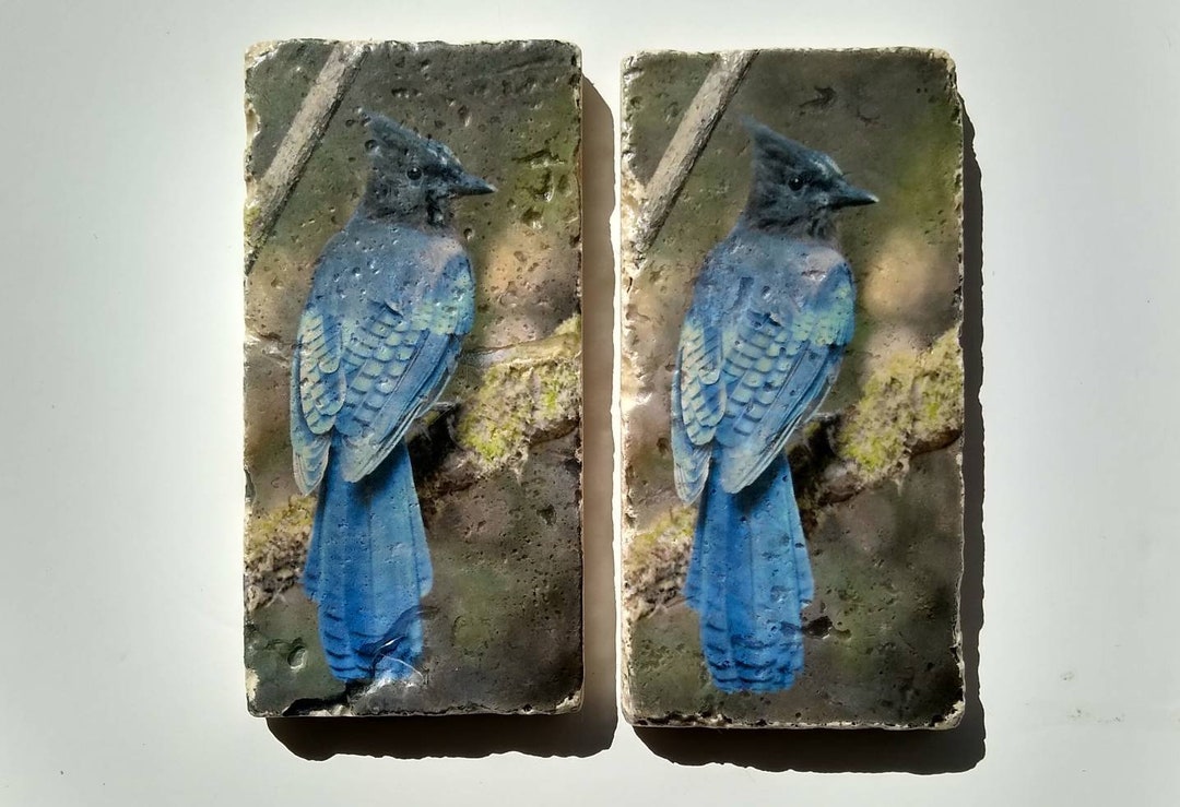 Rustic Blue Jay Bird Stone Spoon Rest Bird Lover Coffee Tea Spoon Rest ...