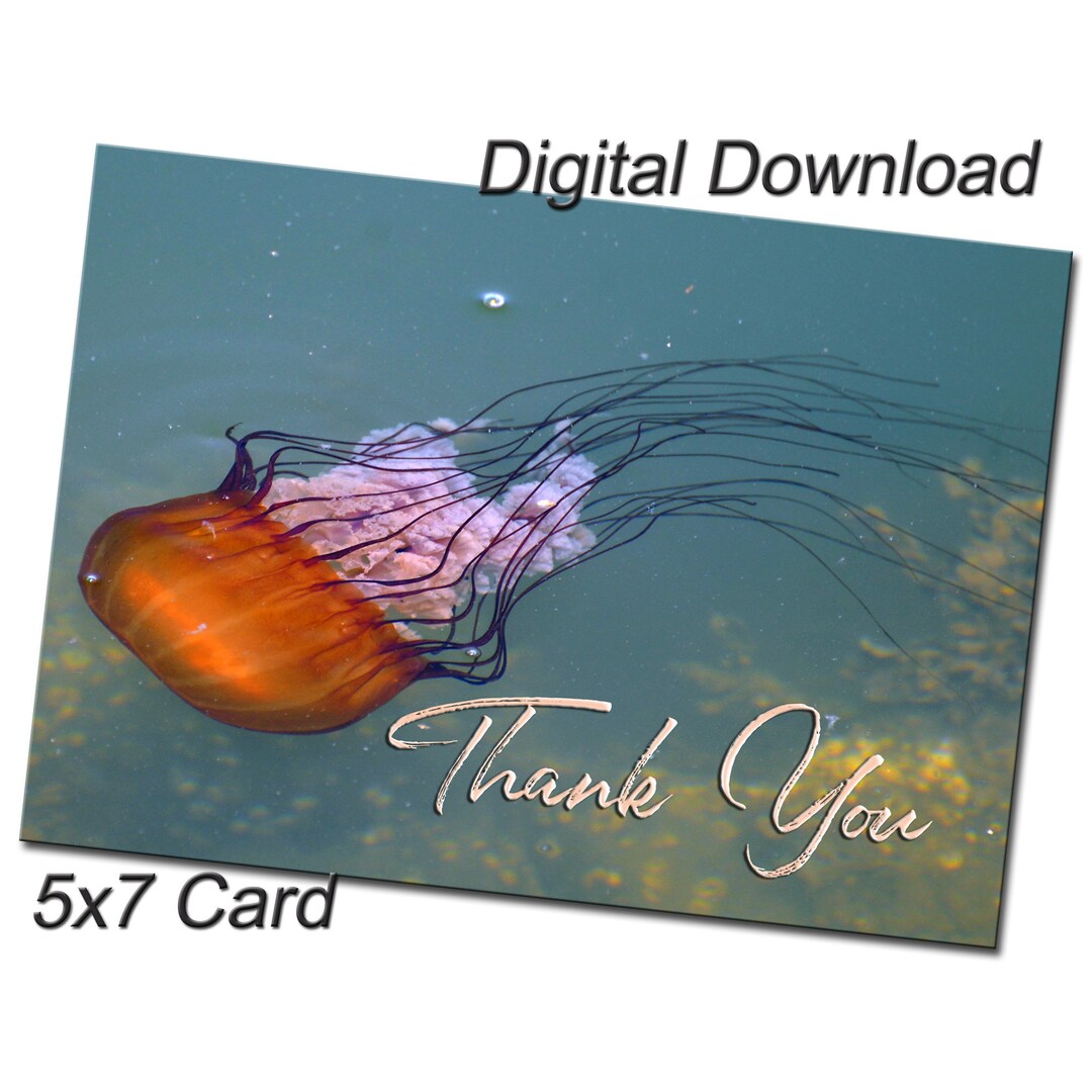 Printable Beach Jellyfish Photo Card Tropical Thank You Note Sea ...