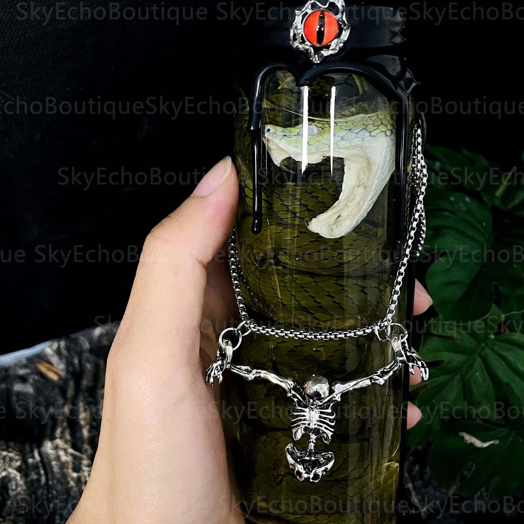 Real Snake Specimen,real Animal Specimen,clean and Complete,specimen ...