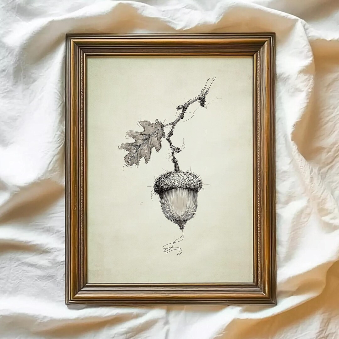Vintage Acorn Botanical Sketch: Oak Tree Ink Drawing - Rustic Fall Wall ...