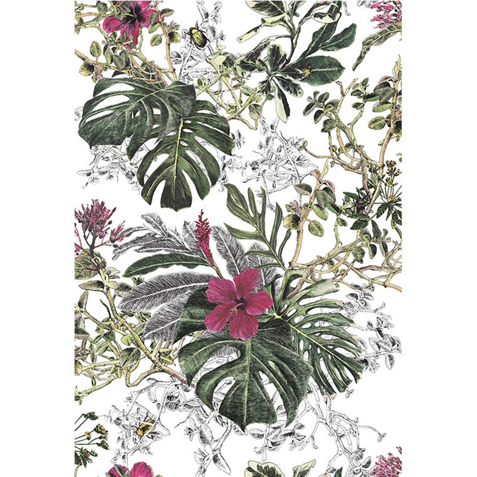 SAMPLES Seasons Summer Tropical Bloom Wallpaper Sample - Etsy