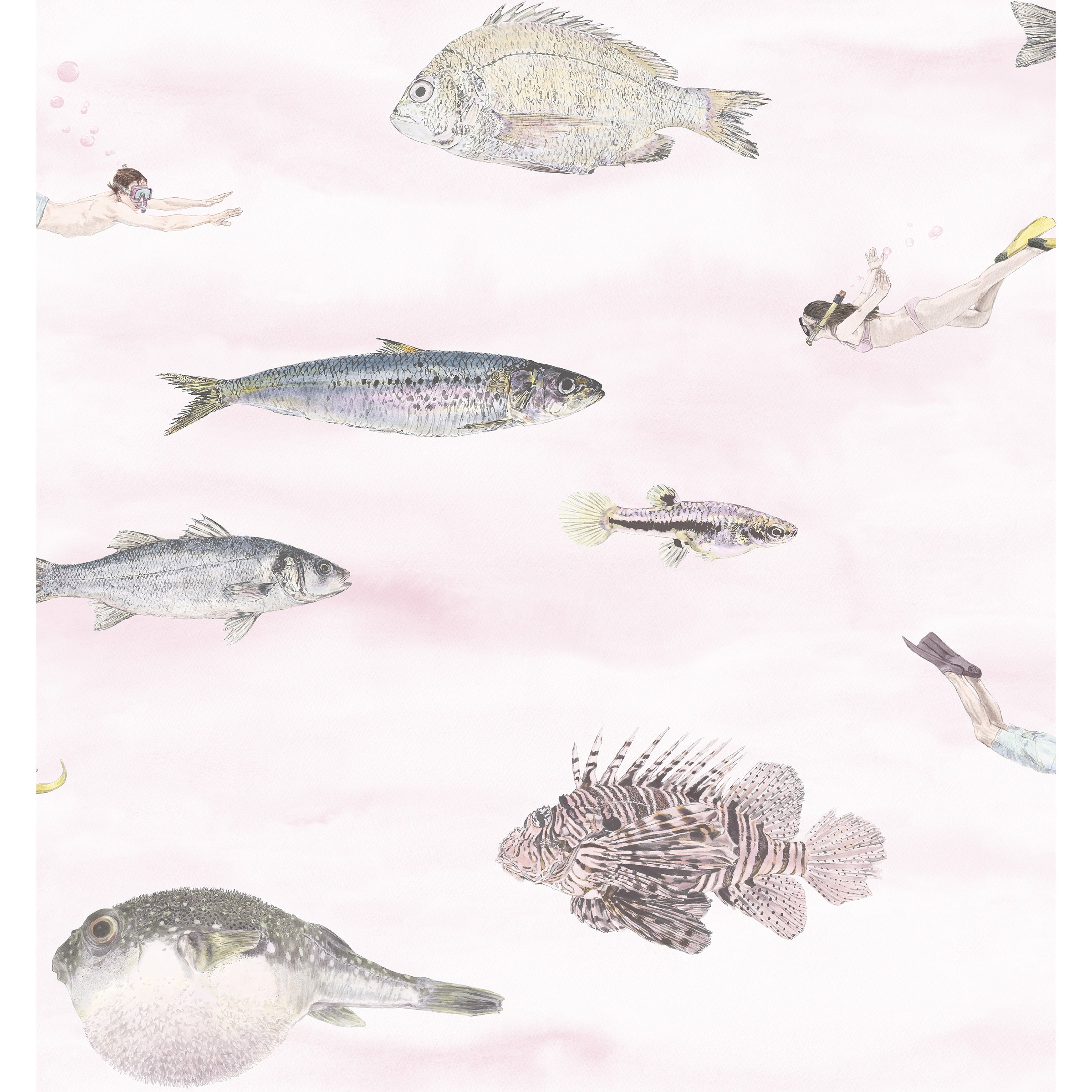 Fish Wallpaper Pink - Etsy Australia