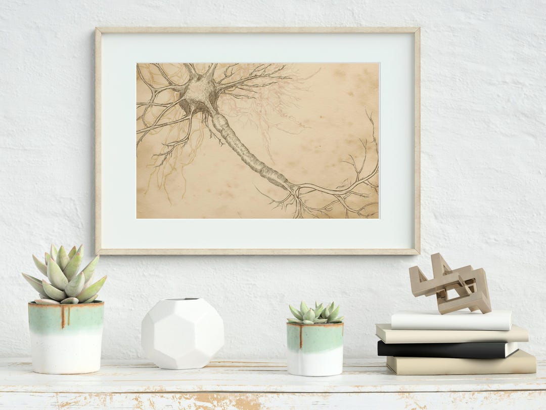 Neuron Wall Art, Sketched Style Rolled Poster, Science Decor, Brain ...