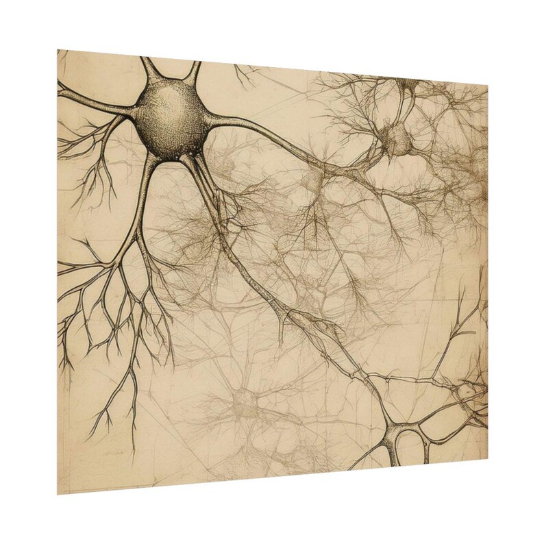 Neuron Wall Art, Science Poster Drawing, Brain Sketch Illustration ...