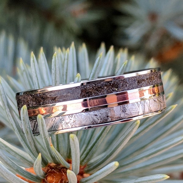 Meteorite Ring - Etsy