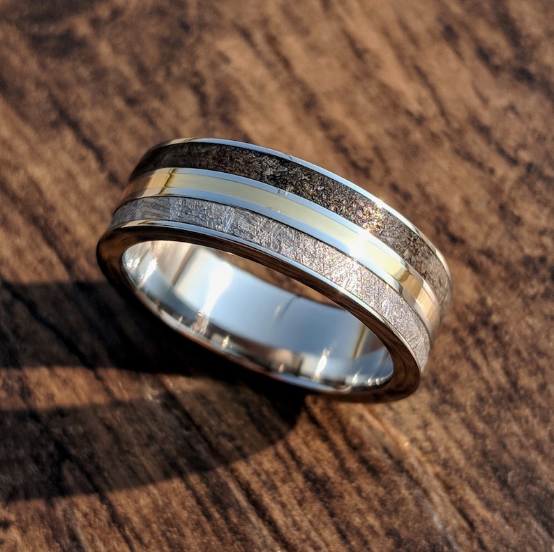 Meteorite Ring with 14k Gold and Dinosaur Fossil Inlay Custom | Etsy
