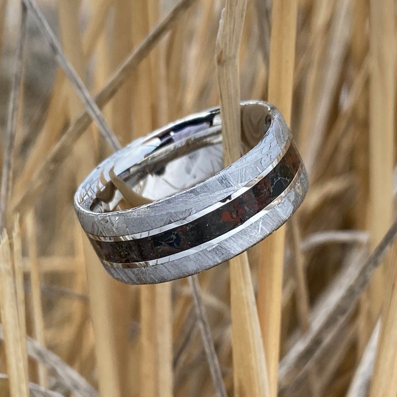 Meteorite Ring Wedding Band W/ Dinosaur Bone and Obsidian | Etsy