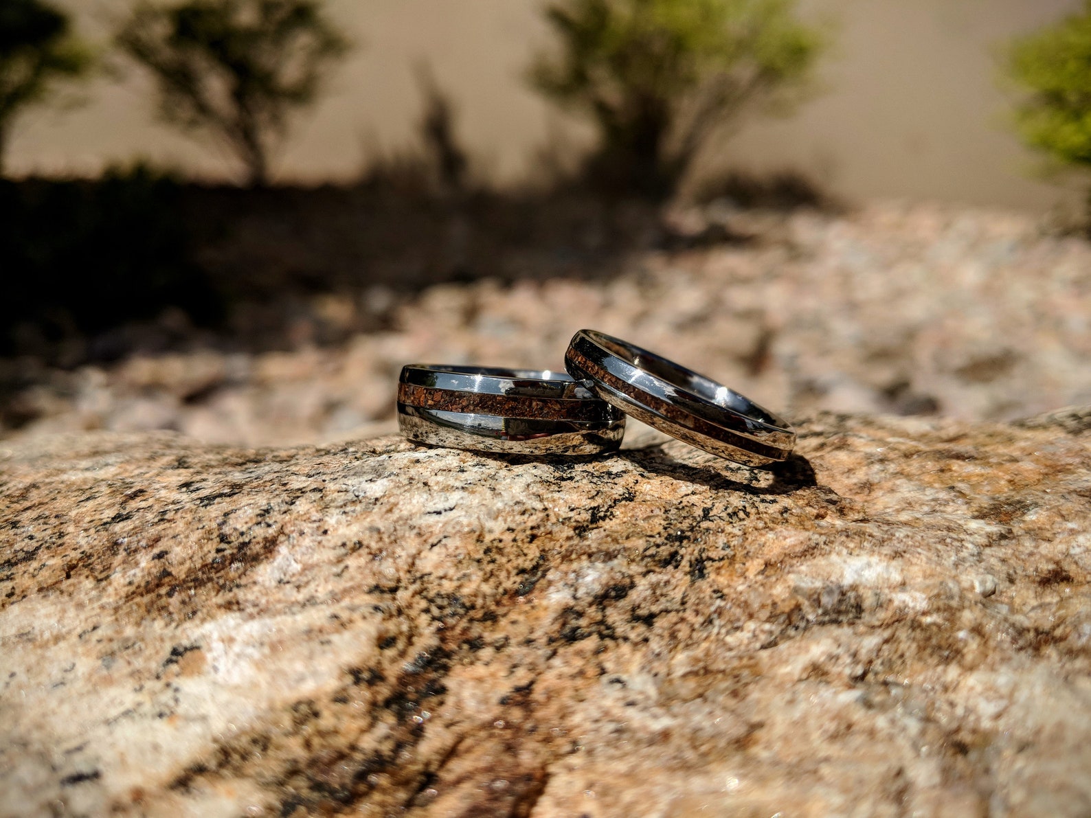 Matching Titanium Rings Set With T-rex Fossil Inlay His and - Etsy